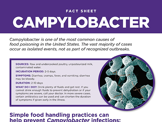 Campylobacter Fact Sheet, Food Poisoning - Sani Professional